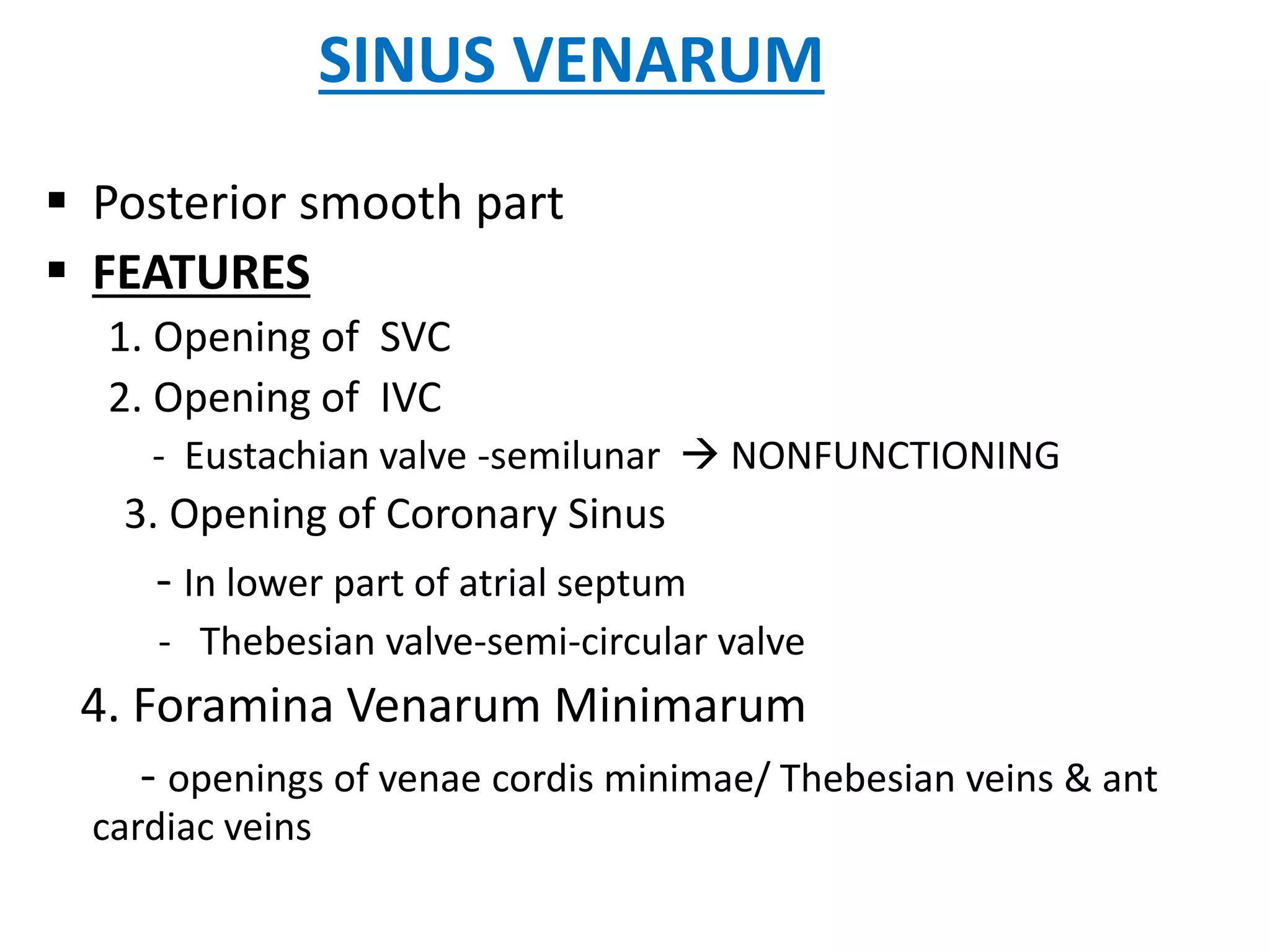 3 internal features of the heart | PPTX