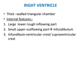 3 internal features of the heart | PPTX