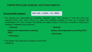 3_Interpretation_of_arterial_blood_gases_seminar_4_y.pptx
