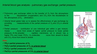 3_Interpretation_of_arterial_blood_gases_seminar_4_y.pptx