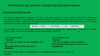 3_Interpretation_of_arterial_blood_gases_seminar_4_y.pptx
