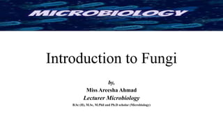 Introduction to Fungi | PPT