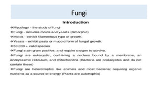 Introduction to Fungi | PPT