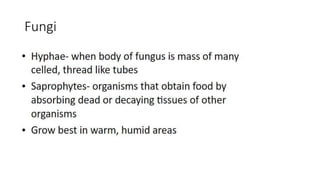 Introduction to Fungi | PPT