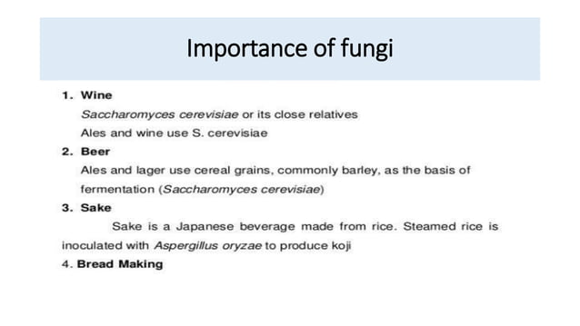Introduction to Fungi | PPTX