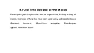 Introduction to Fungi | PPT