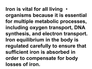 3 iron deficiency anemia blood diseases.ppt