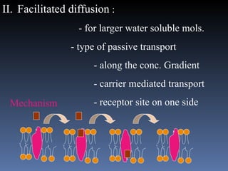 Transport across cell membrane PPT for medical students | PPT