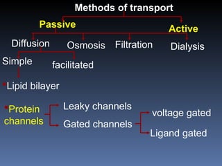Transport across cell membrane PPT for medical students | PPT