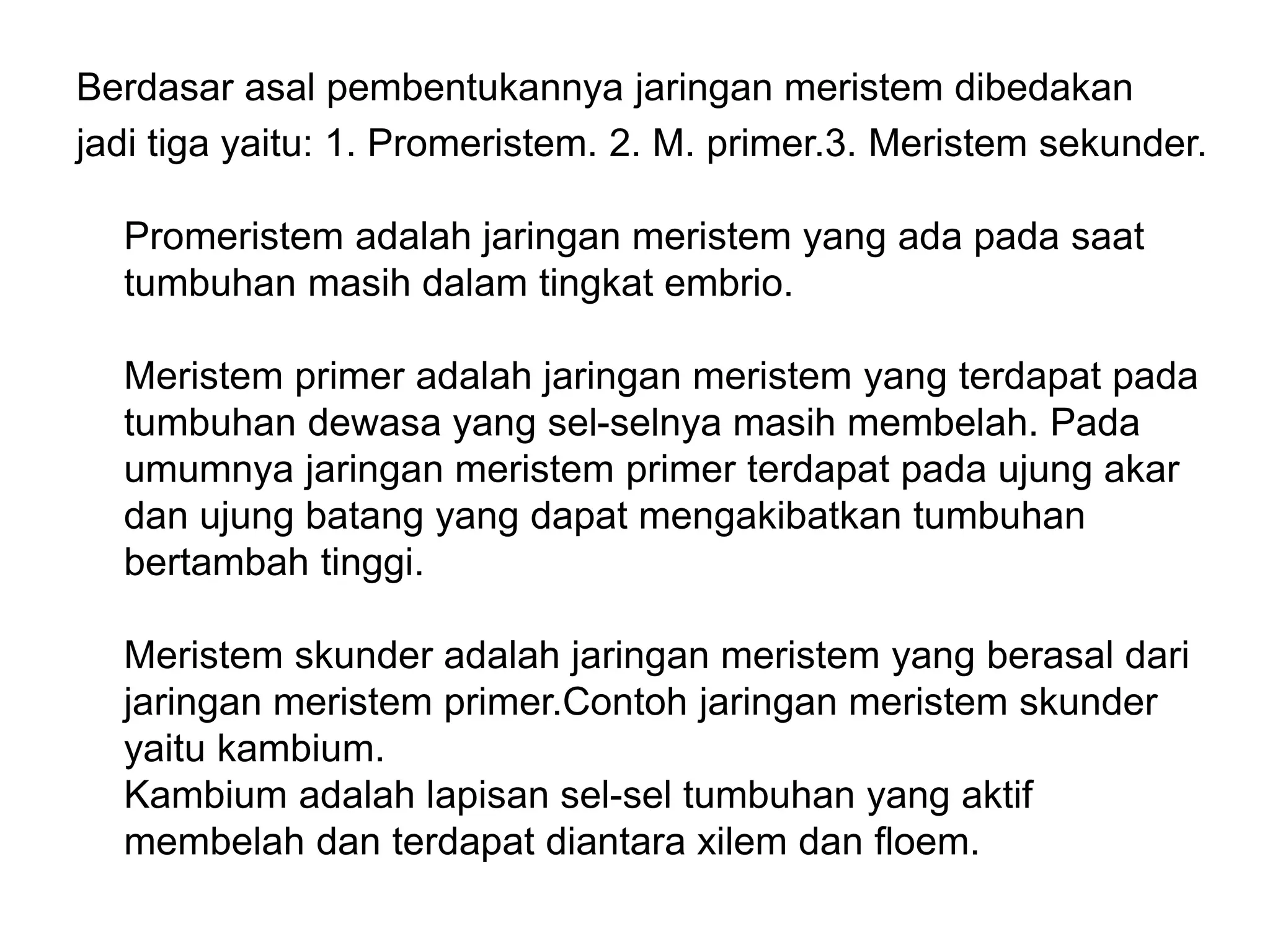 3 Jaringan Meristem.pptx