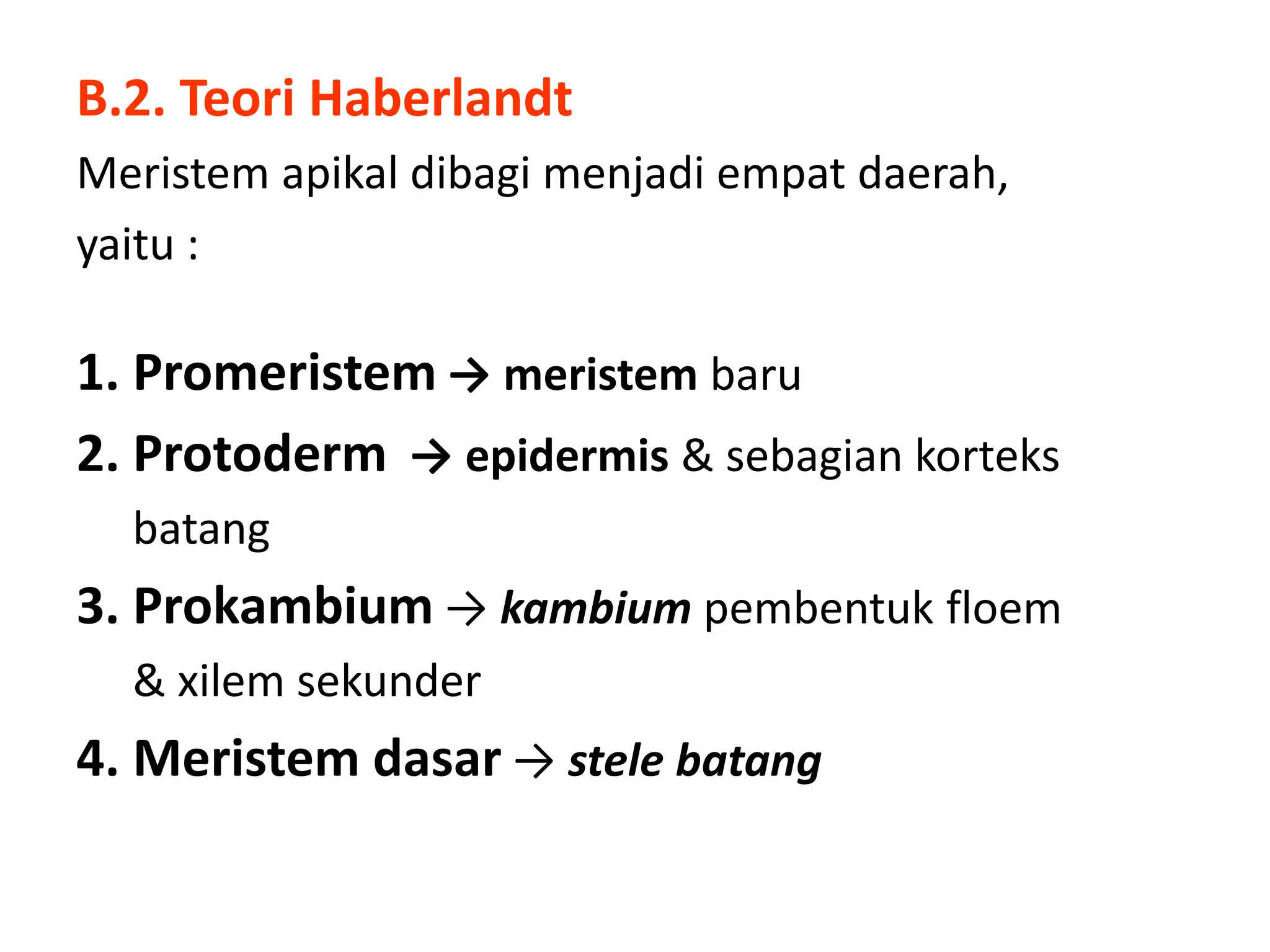3 Jaringan Meristem.pptx