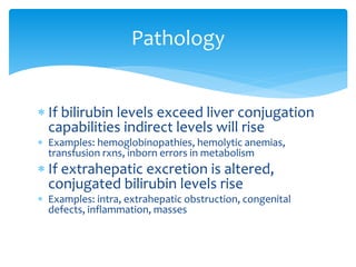 3jaundice.pptx related to liver diseases | PPT