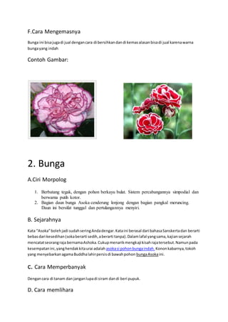 3 jenis bunga | PDF