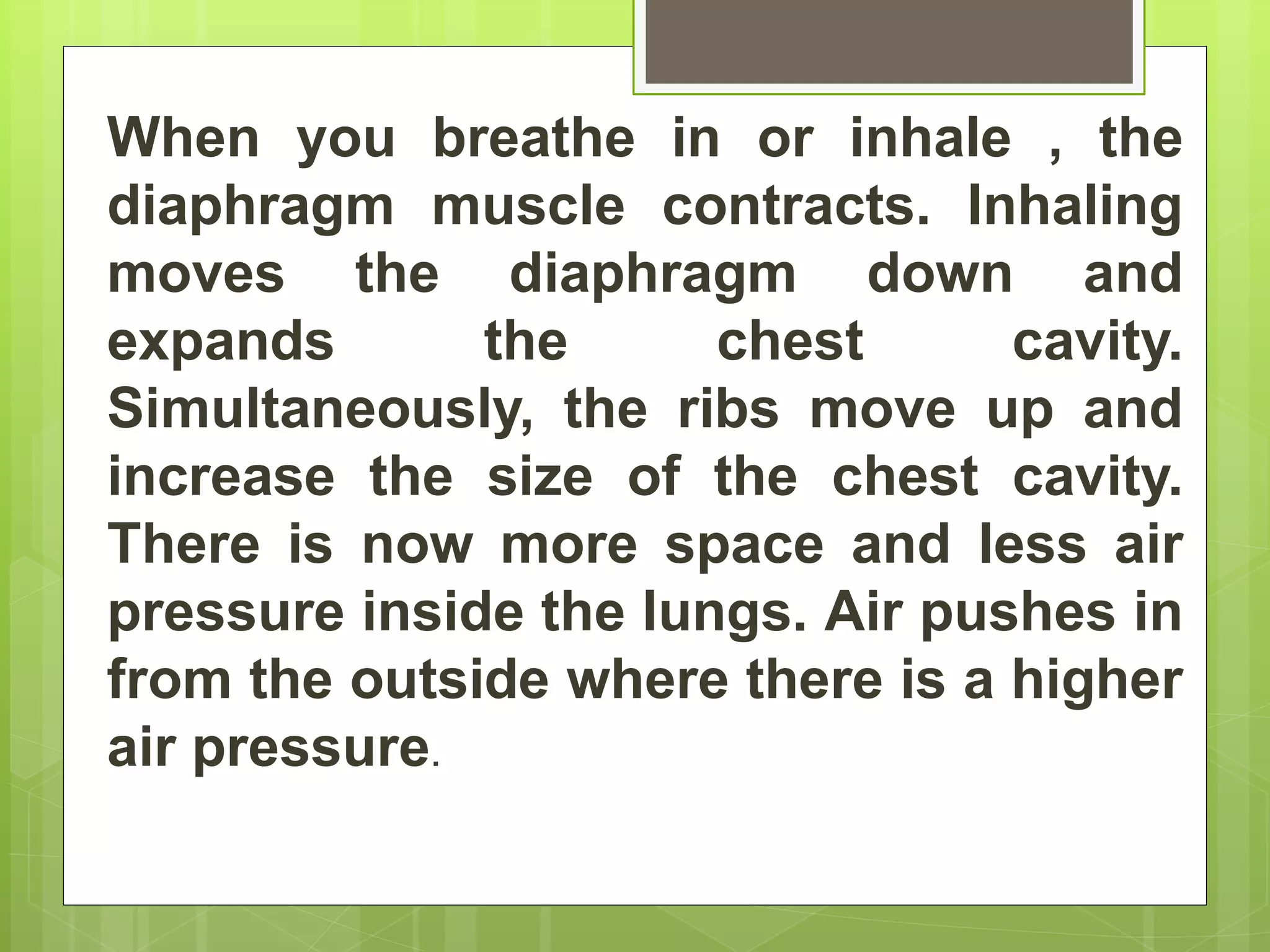 3 just go with the flow | PPTX