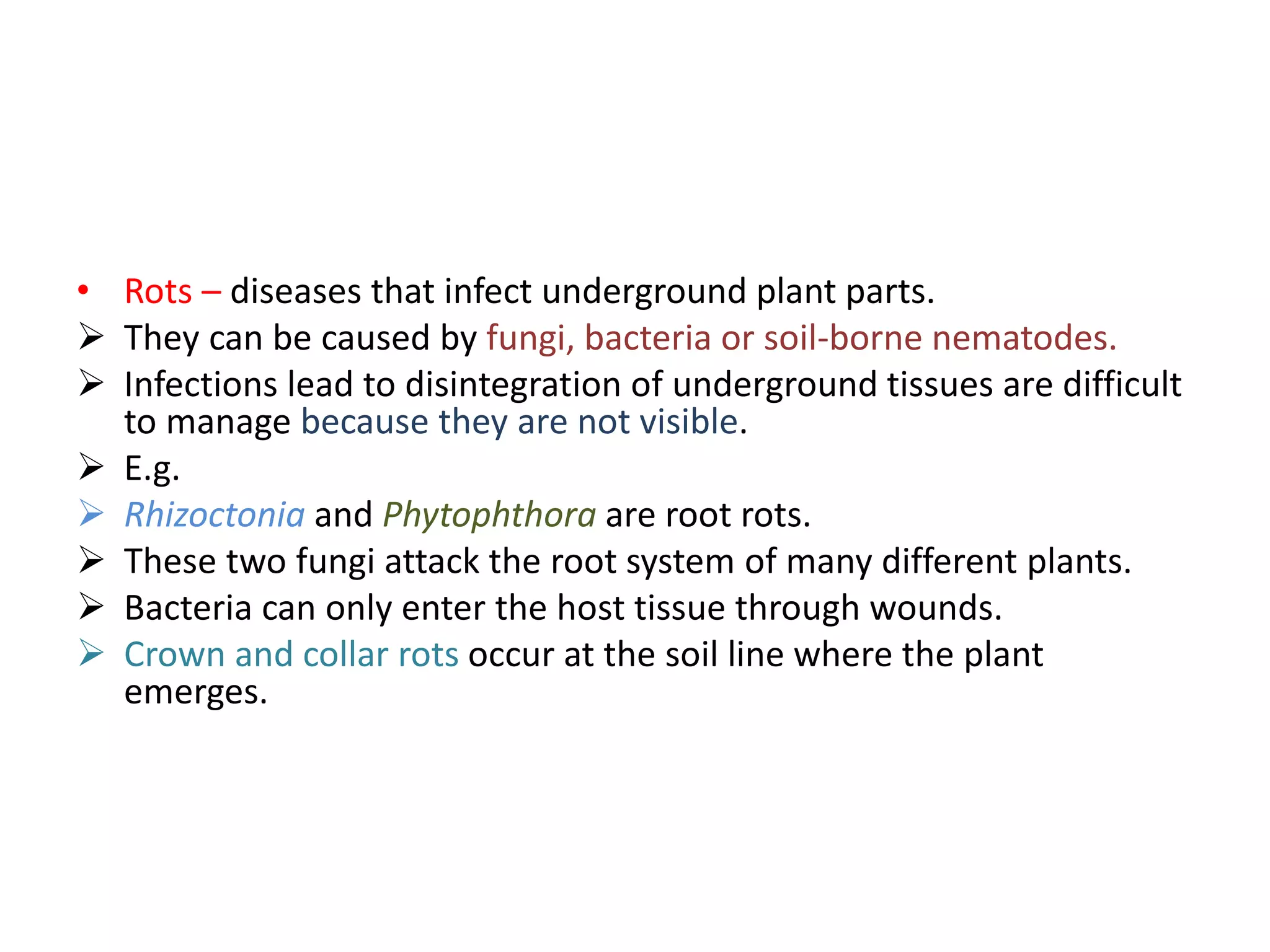 MOST ACCEPTED CLASSIFICATION OF PLANT DISEASE BY SOMBIR KASHYAP | PPTX