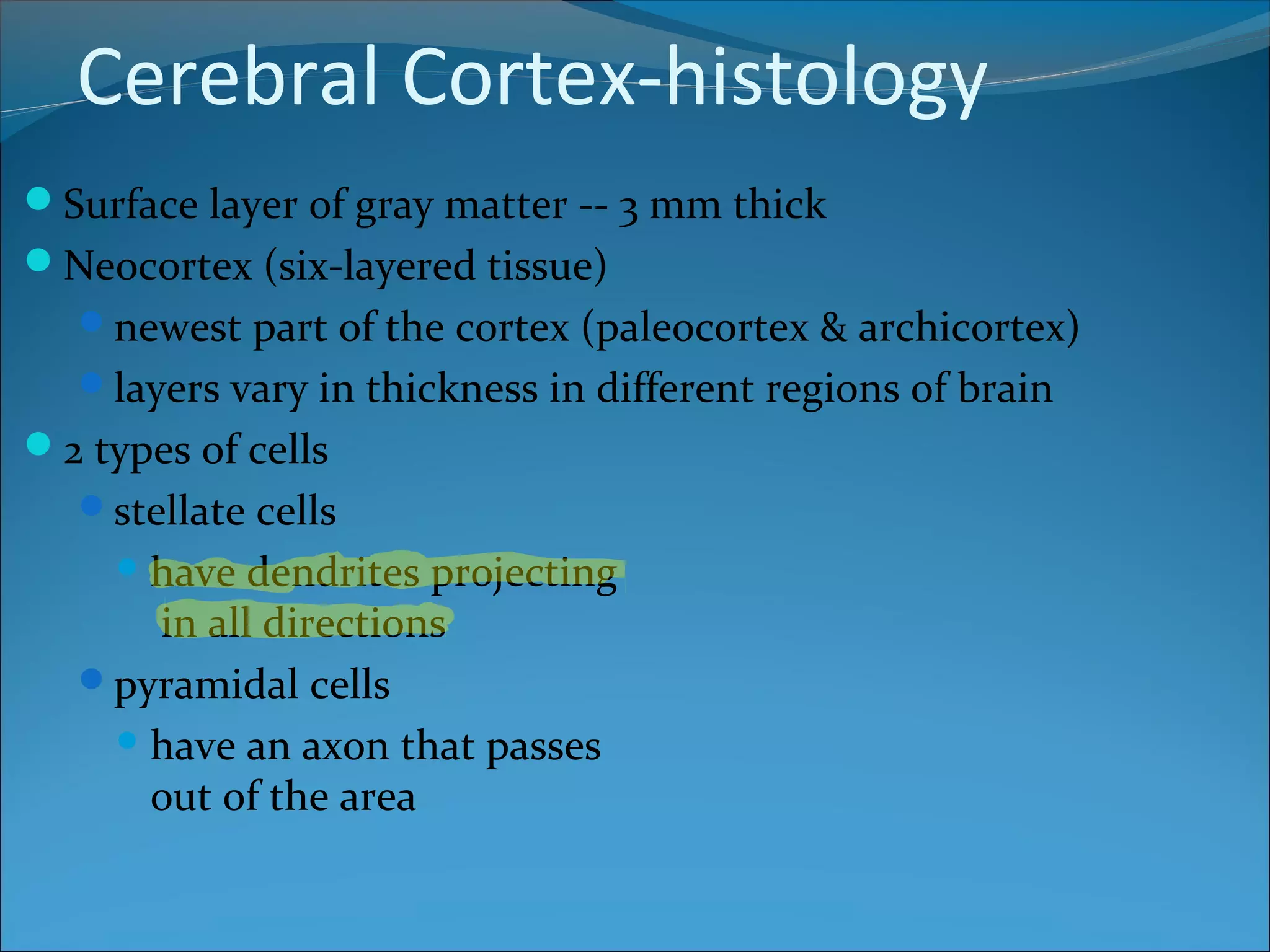Anatomy of the Cerebrum | PPT
