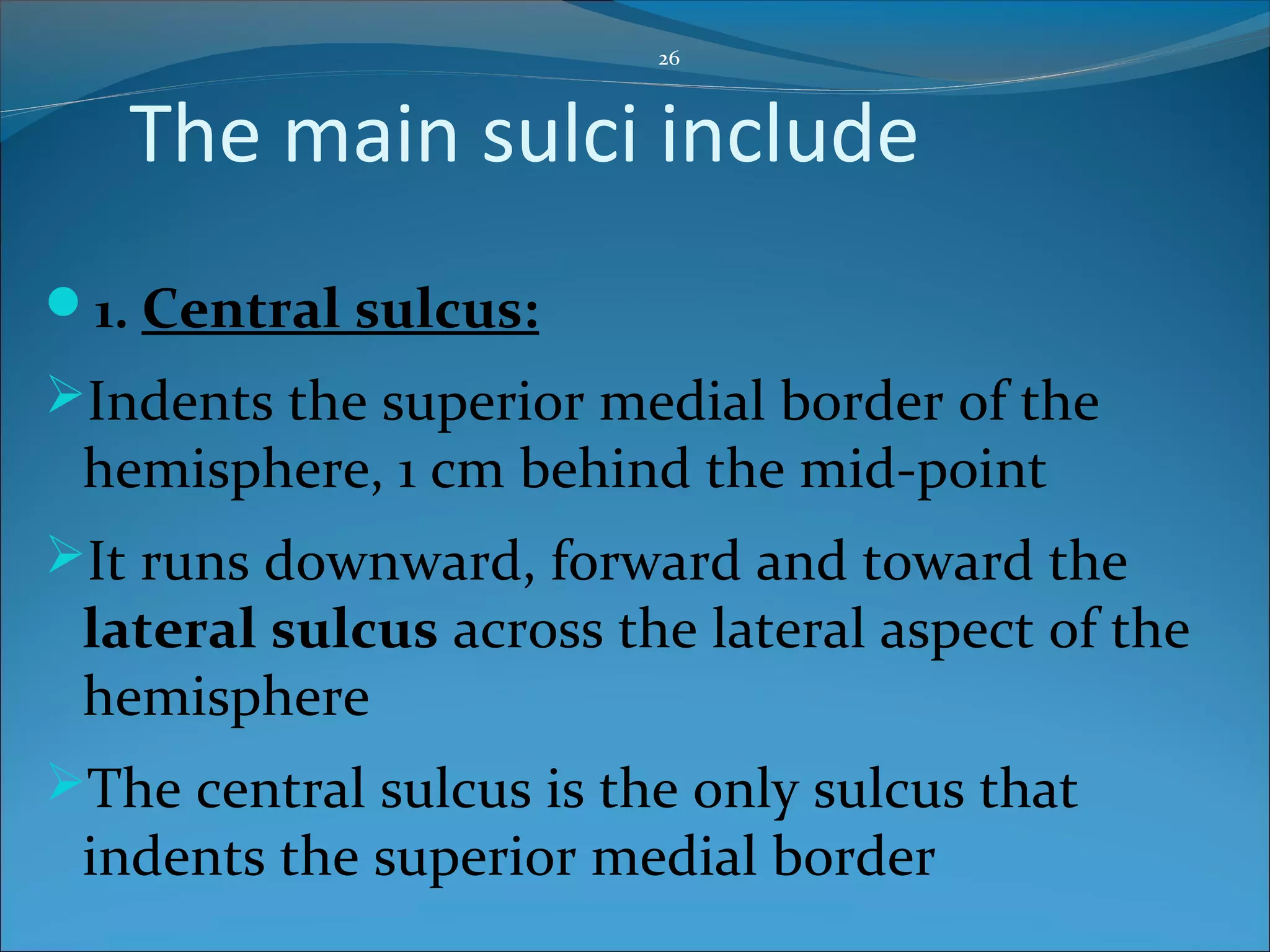Anatomy of the Cerebrum | PPT | Brain and Nervous System Disorders ...