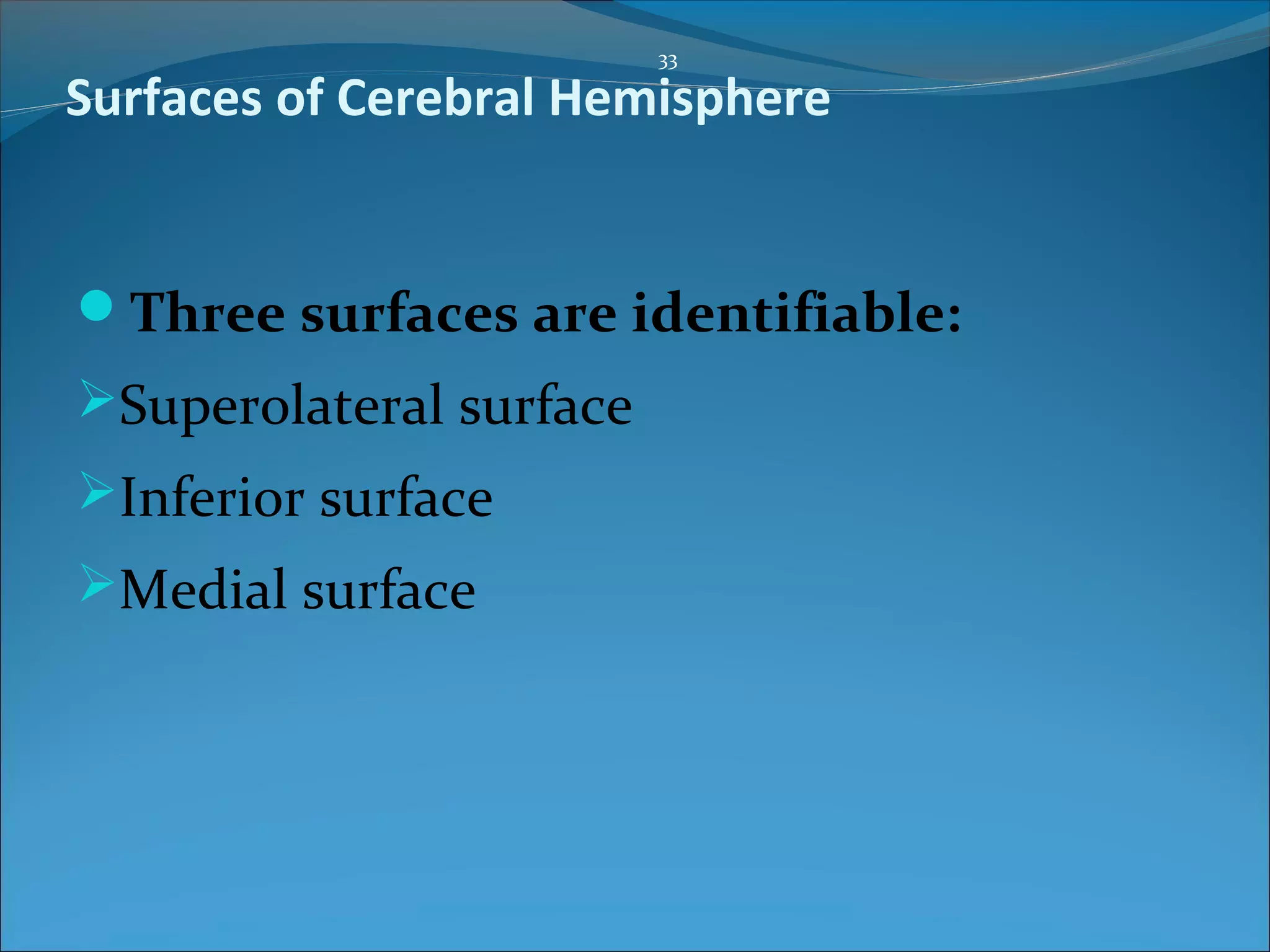 Anatomy of the Cerebrum | PPT