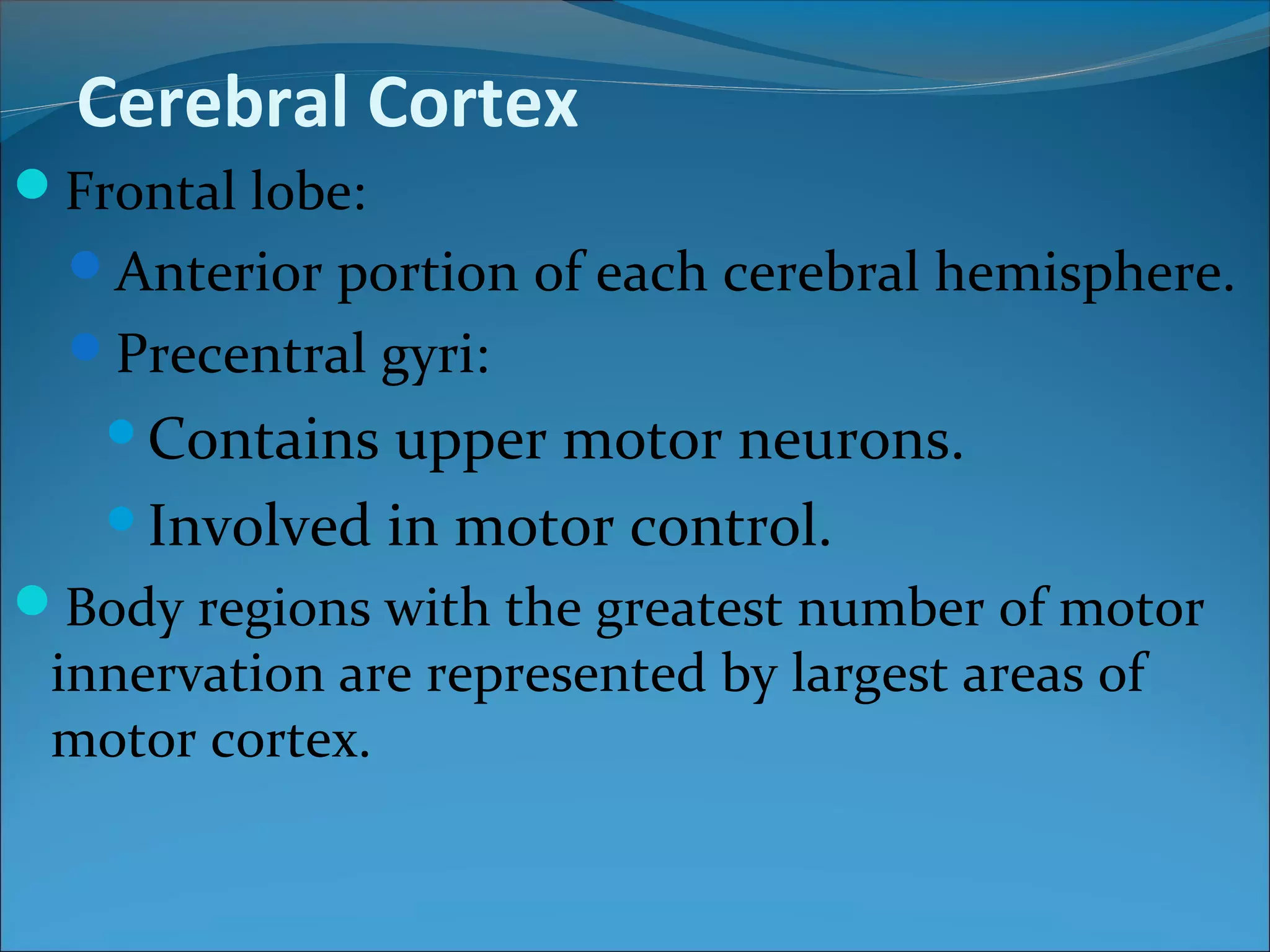 Anatomy of the Cerebrum | PPT