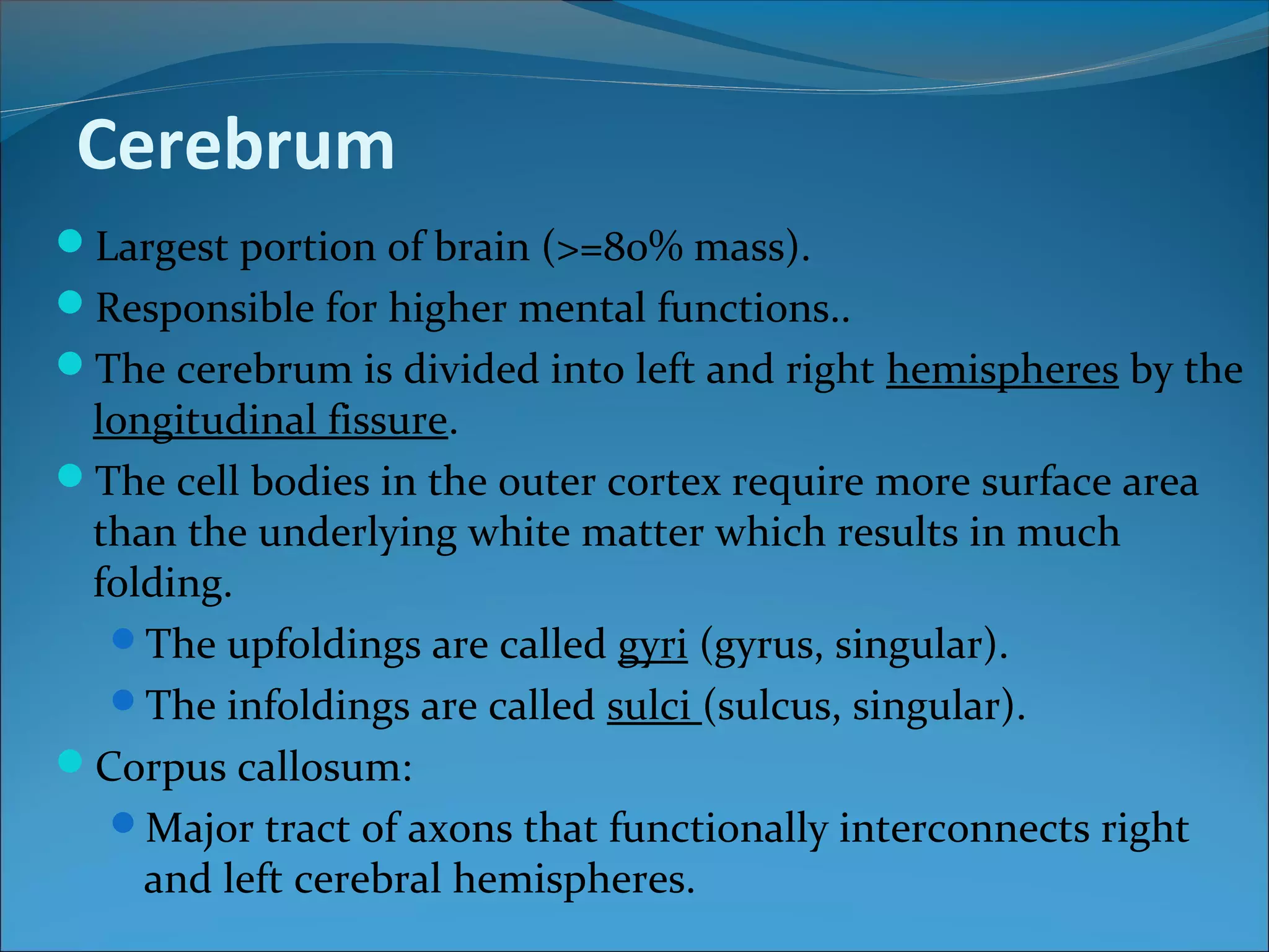 Anatomy Of The Cerebrum Ppt Brain And Nervous System Disorders Diseases And Conditions