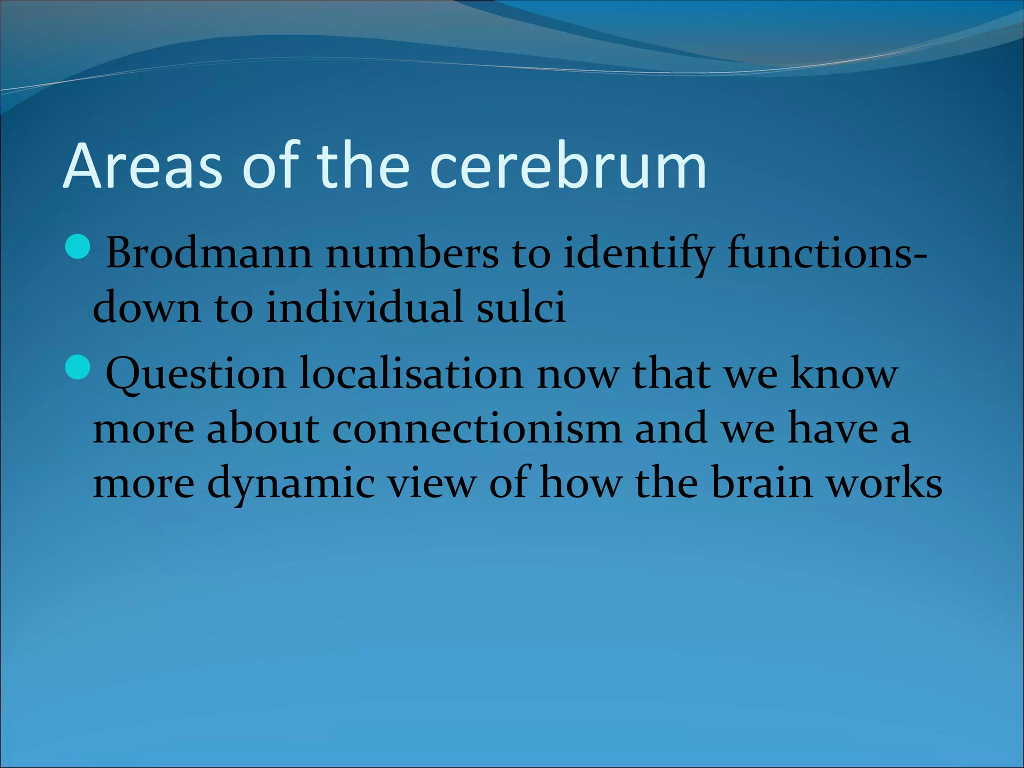 Anatomy of the Cerebrum | PPT