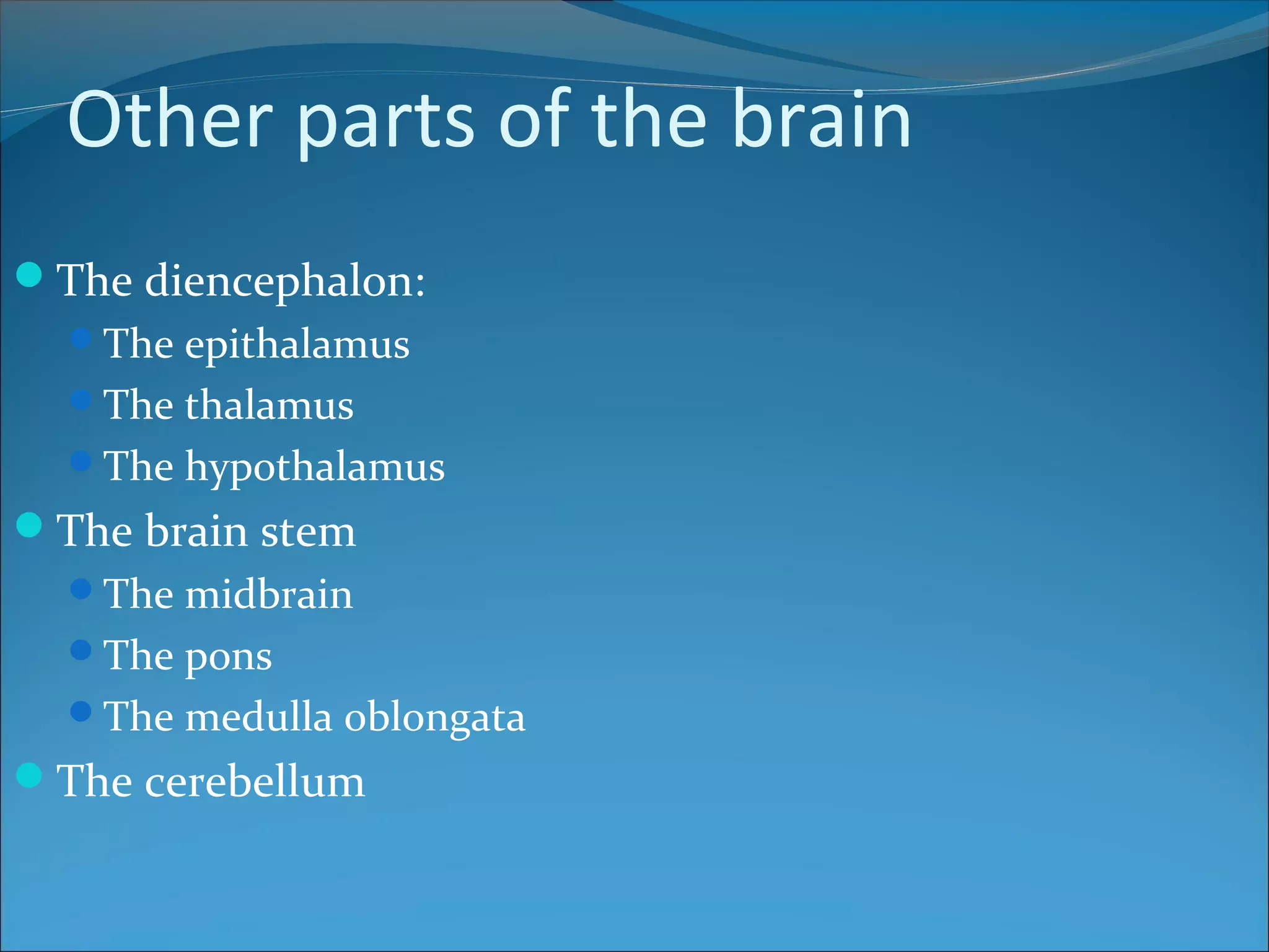 Anatomy of the Cerebrum | PPT
