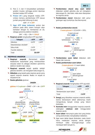 Katabolisme | PDF