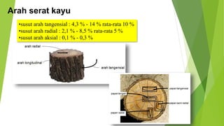 3_Kayu_2021 materi untuk materi bahan kuliah | PPT | Free Download