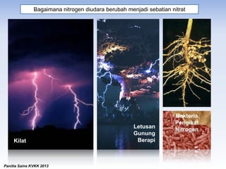 3 kitar nitrogen & kepentingannya | PPTX