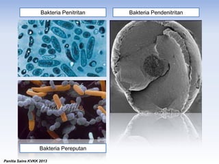 3 kitar nitrogen & kepentingannya | PPTX