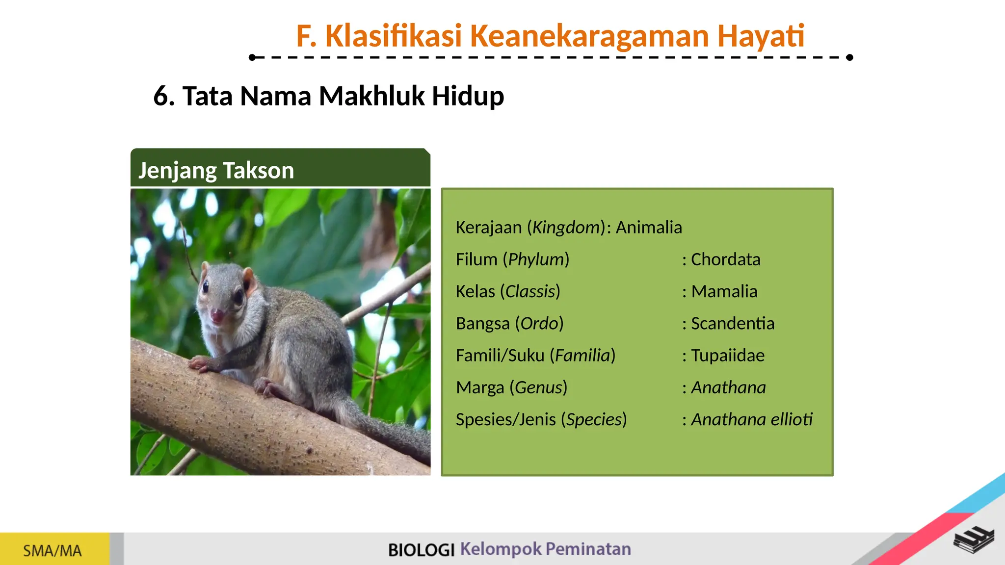 3 Klasifikasi Makhluk Hidup .pptx