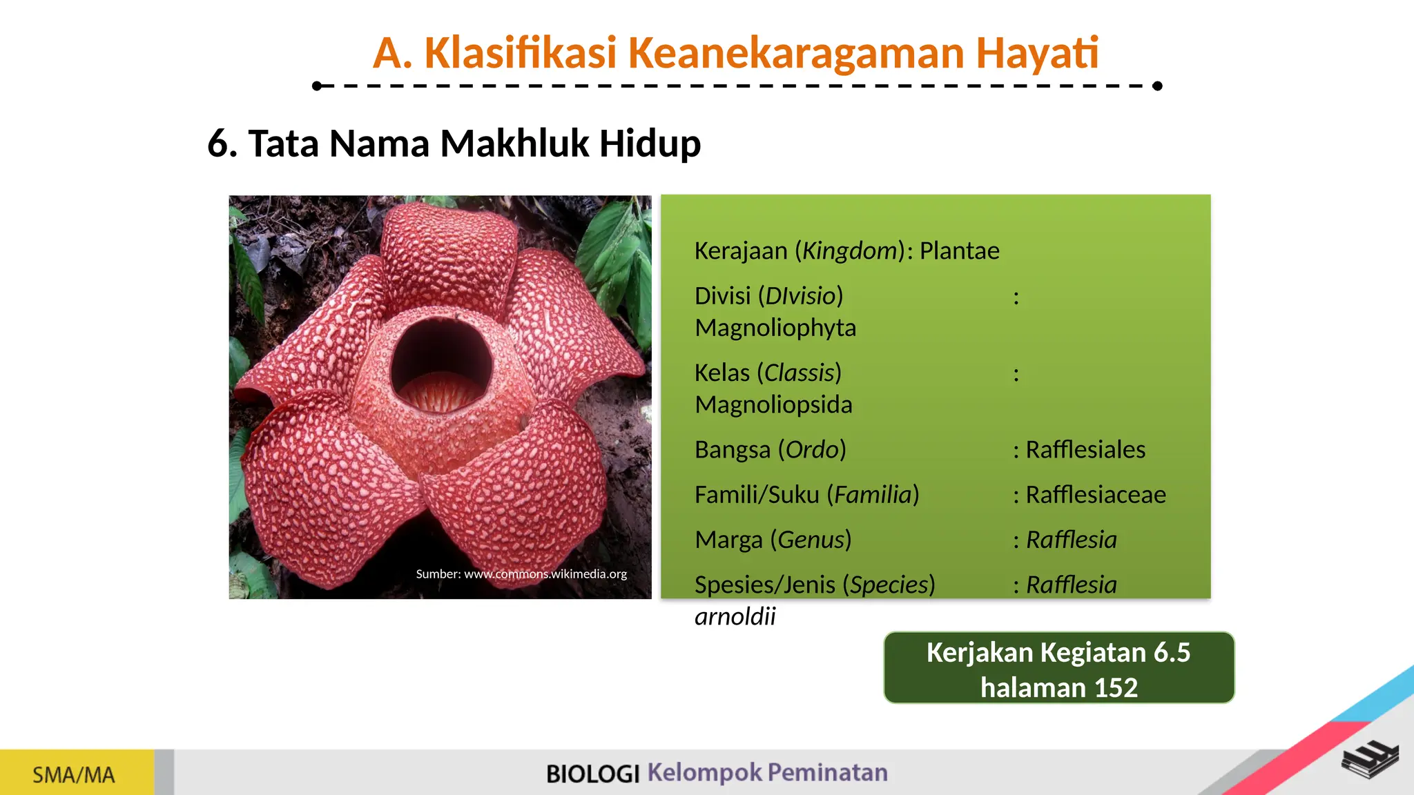 3 Klasifikasi Makhluk Hidup .pptx