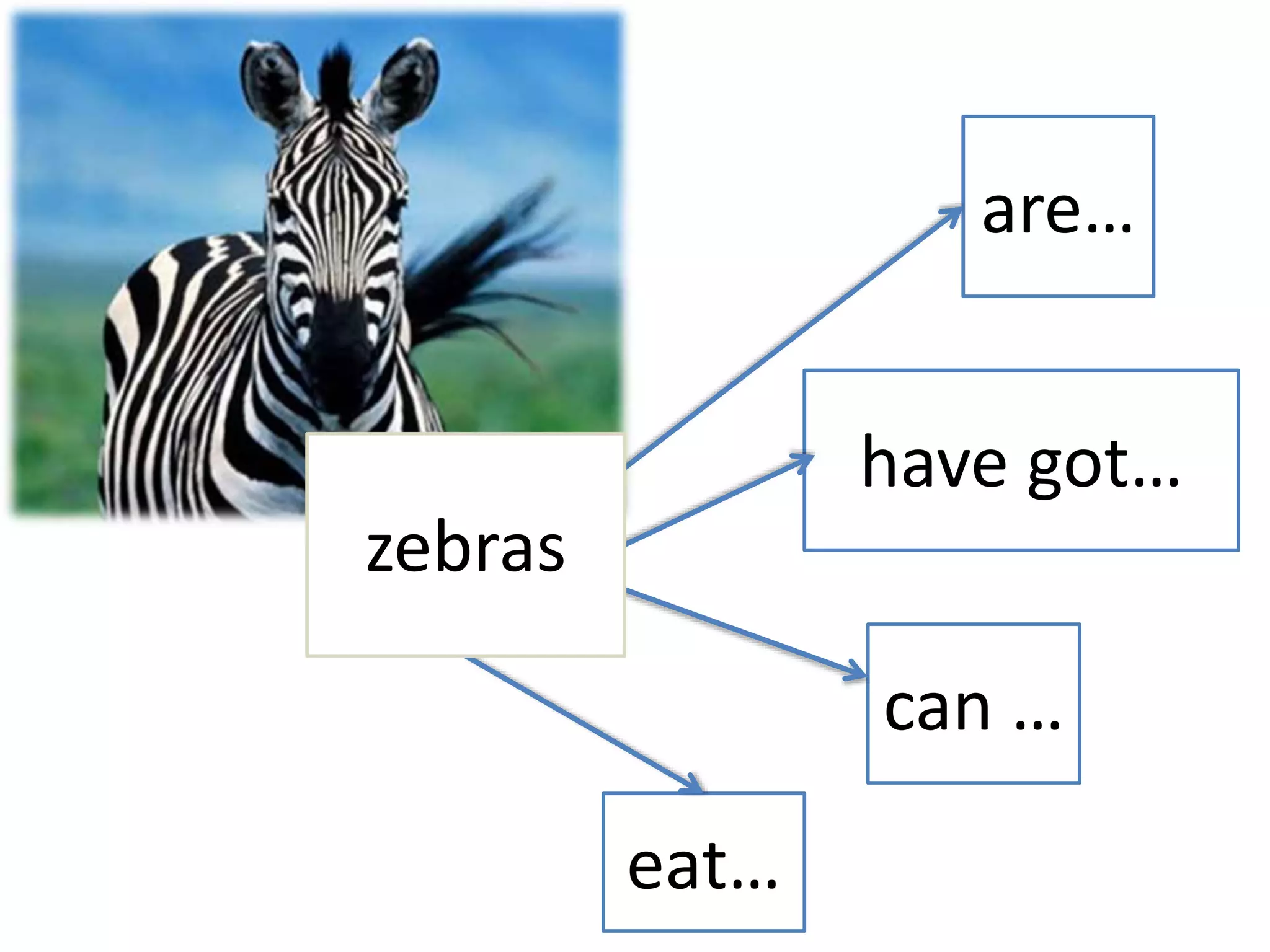 animals / game | PPTX | Zoos & Aquariums | Attractions