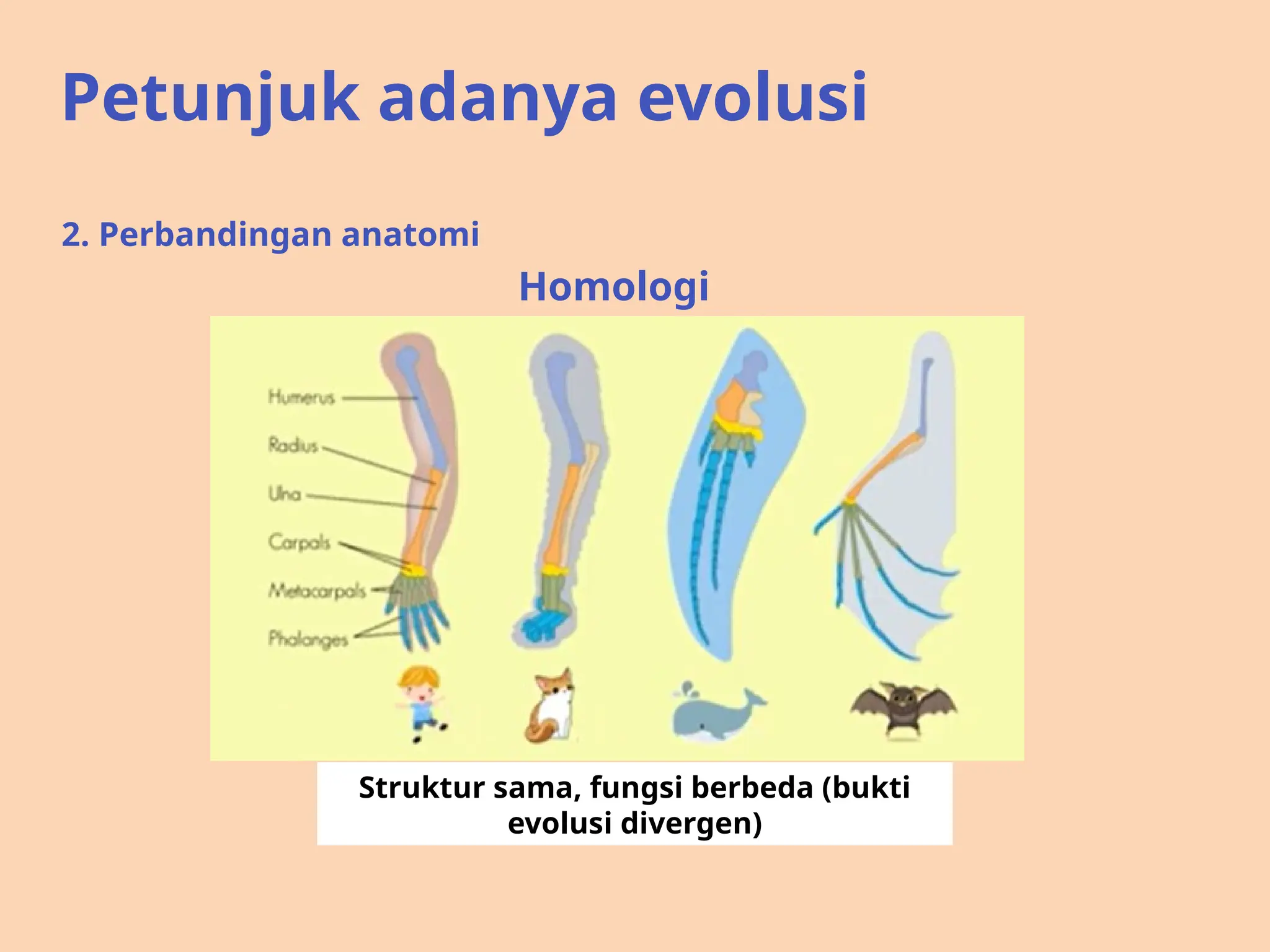 konsep evolusi dari beberapa ilmuwan yang terkenal | PPTX