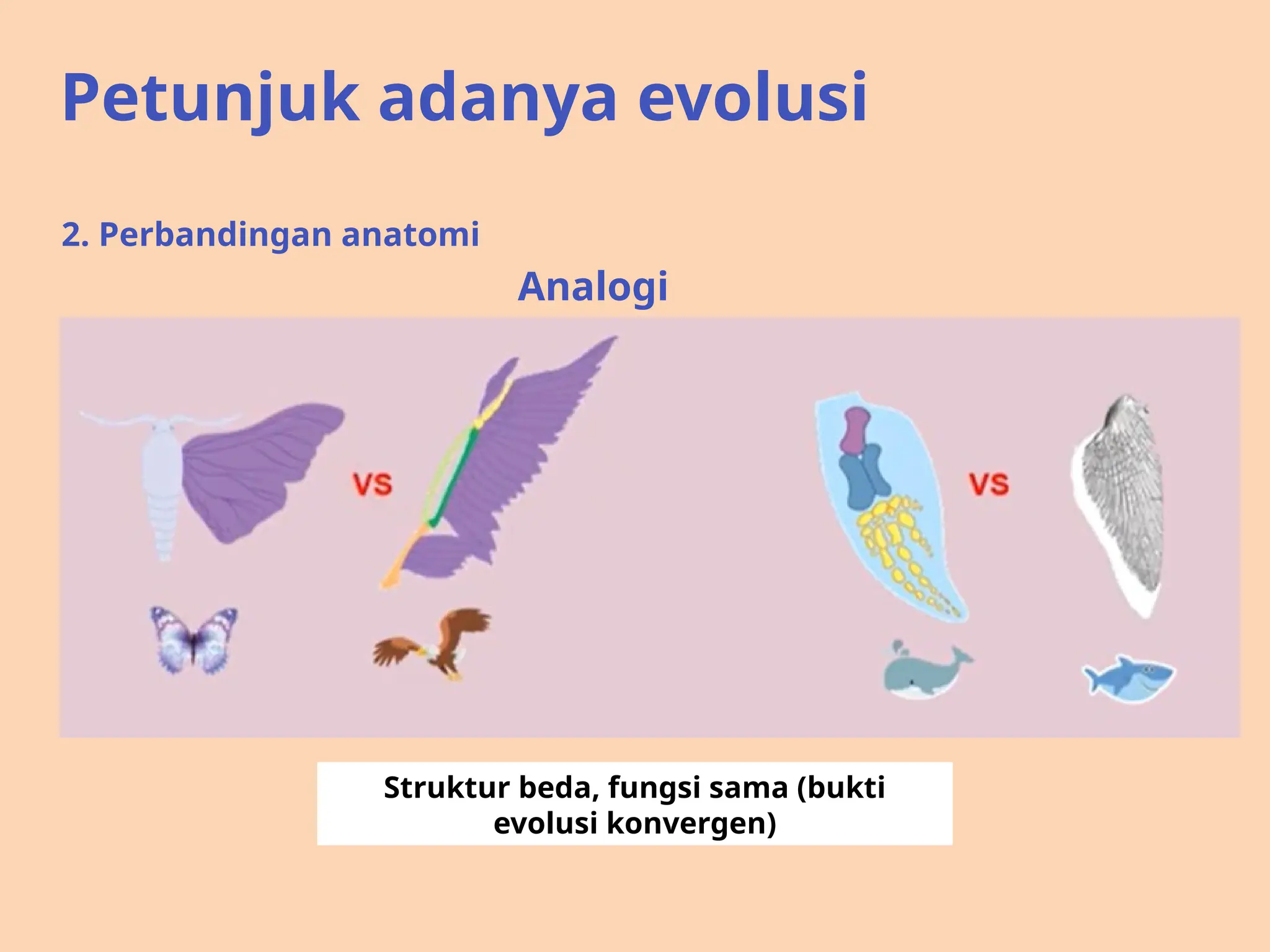 konsep evolusi dari beberapa ilmuwan yang terkenal | PPTX