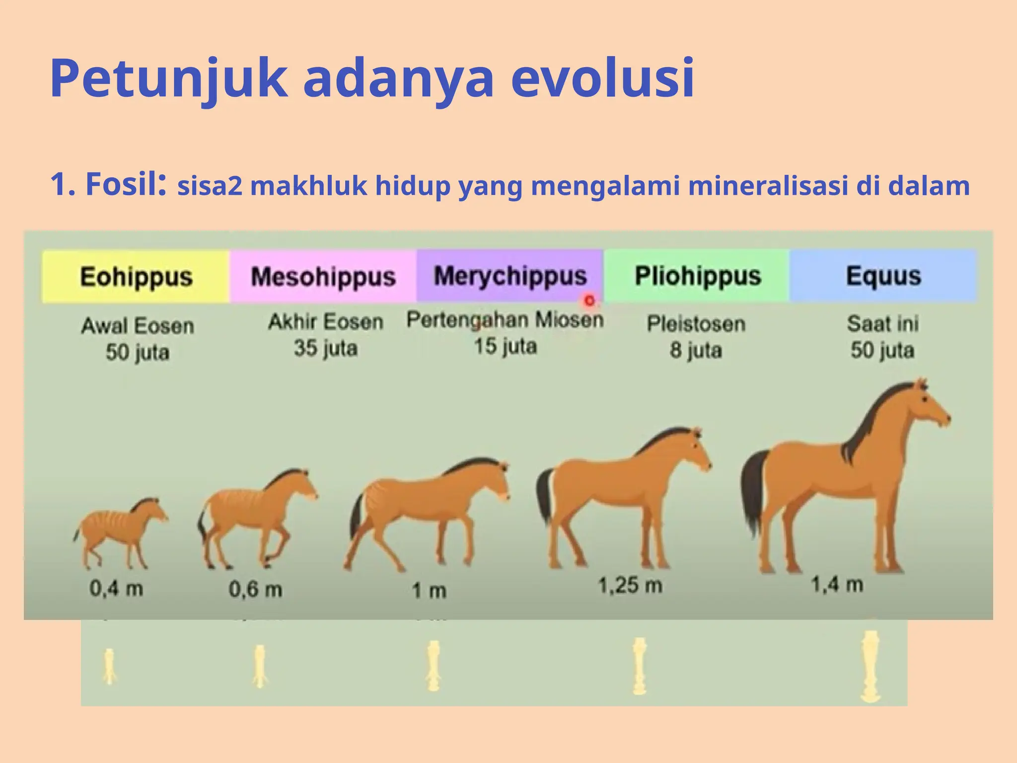 konsep evolusi dari beberapa ilmuwan yang terkenal | PPTX