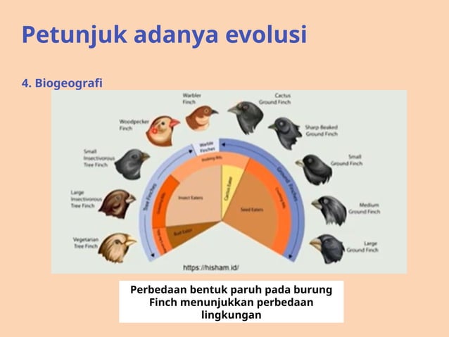 konsep evolusi dari beberapa ilmuwan yang terkenal | PPT