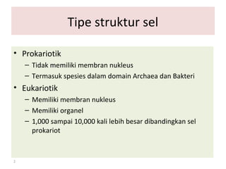 3 kuliah sel | PPT