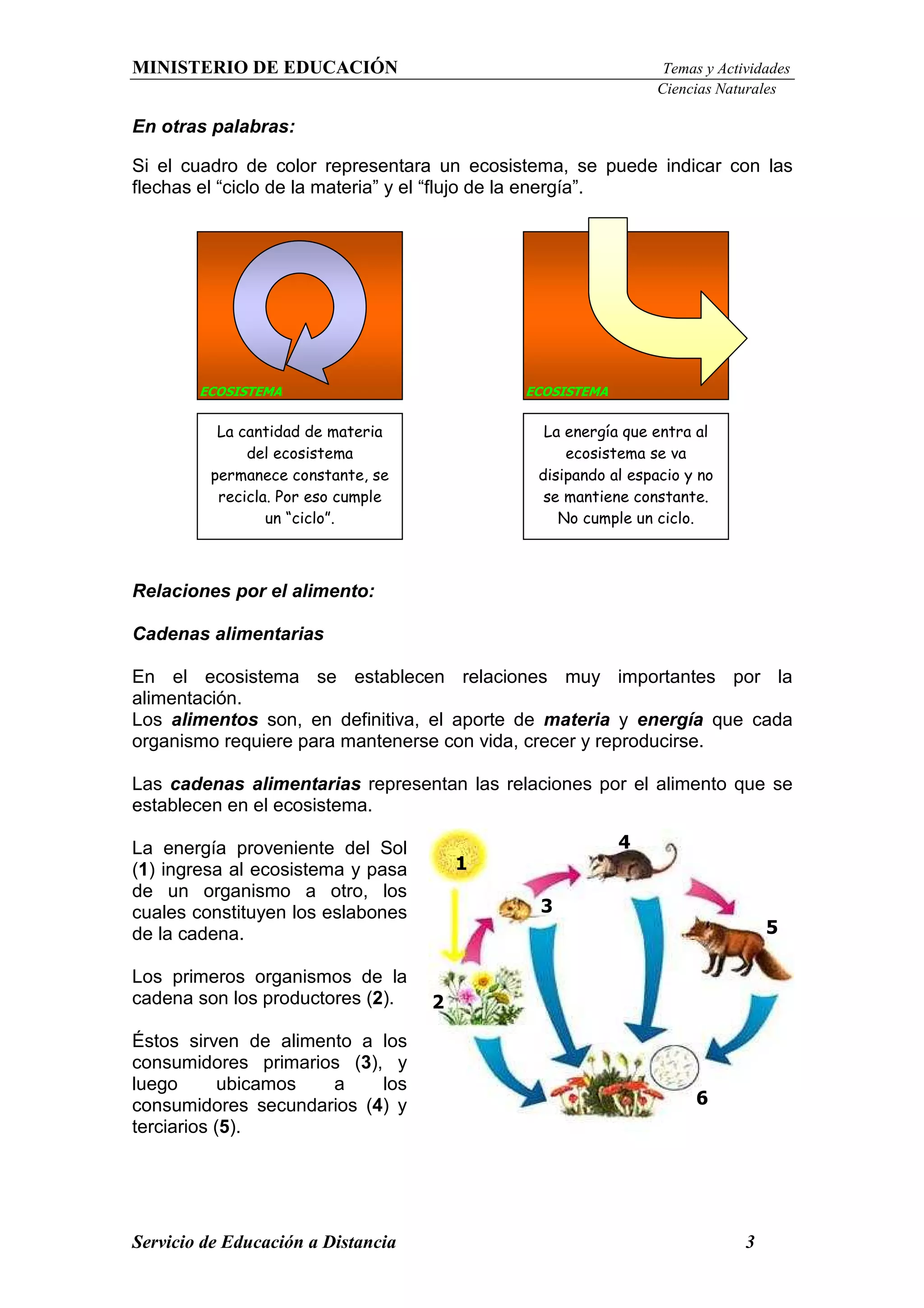 3 las relaciones en el ecosistema(aprenderencasa.educ.ar) | PDF