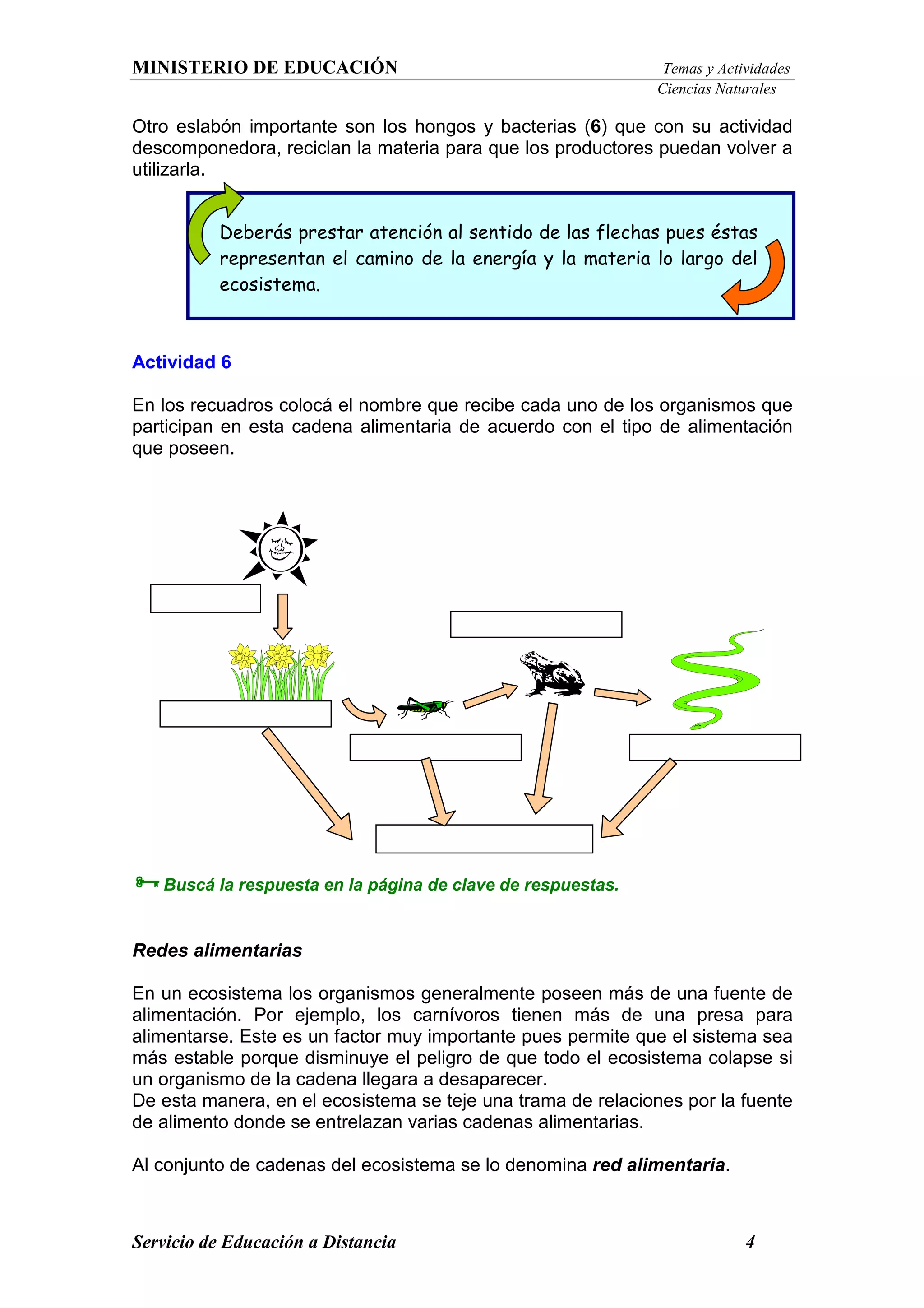 3 las relaciones en el ecosistema(aprenderencasa.educ.ar) | PDF