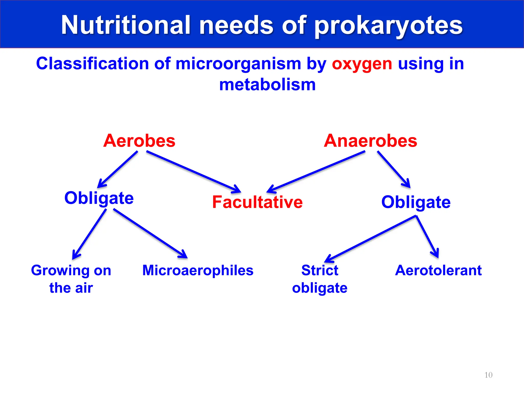 Physiology of bacteria.pdf pathophysiology | PDF