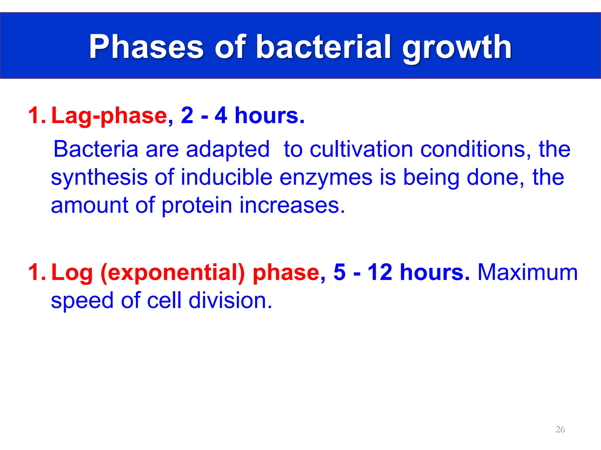 Physiology of bacteria.pdf pathophysiology | PDF