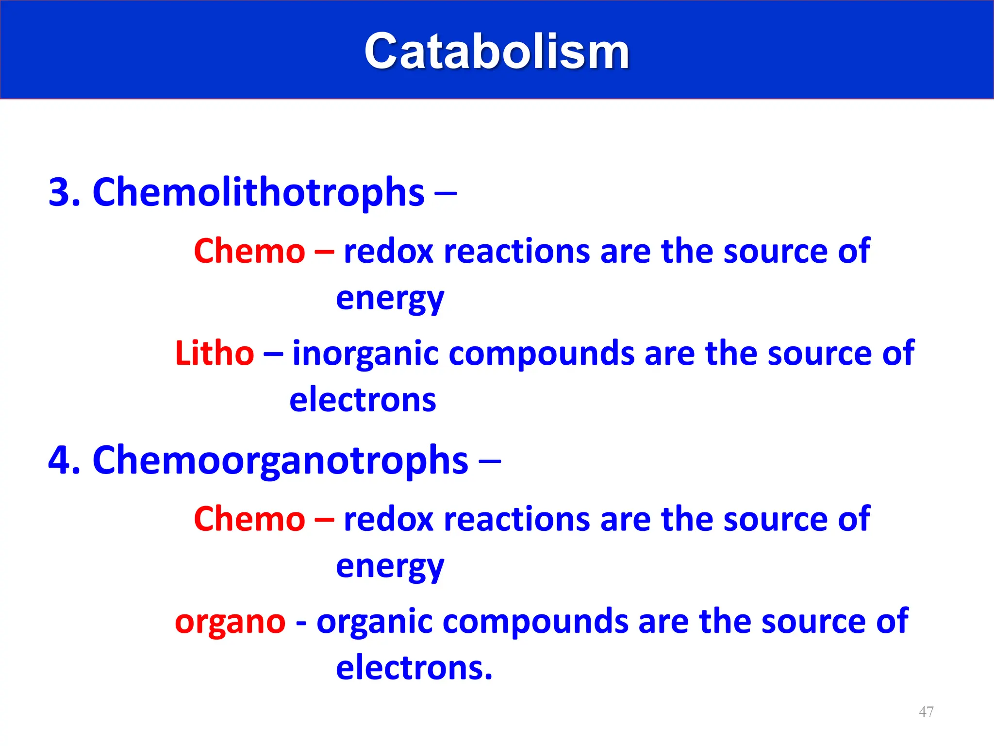 Physiology of bacteria.pdf pathophysiology | PDF