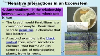 3 les 6 sci 4 | PPT