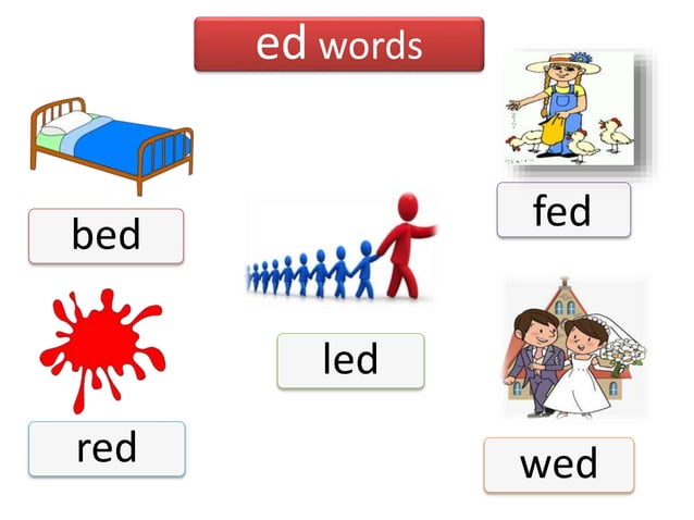 Three etter words with pictures Sr Kg | PPTX
