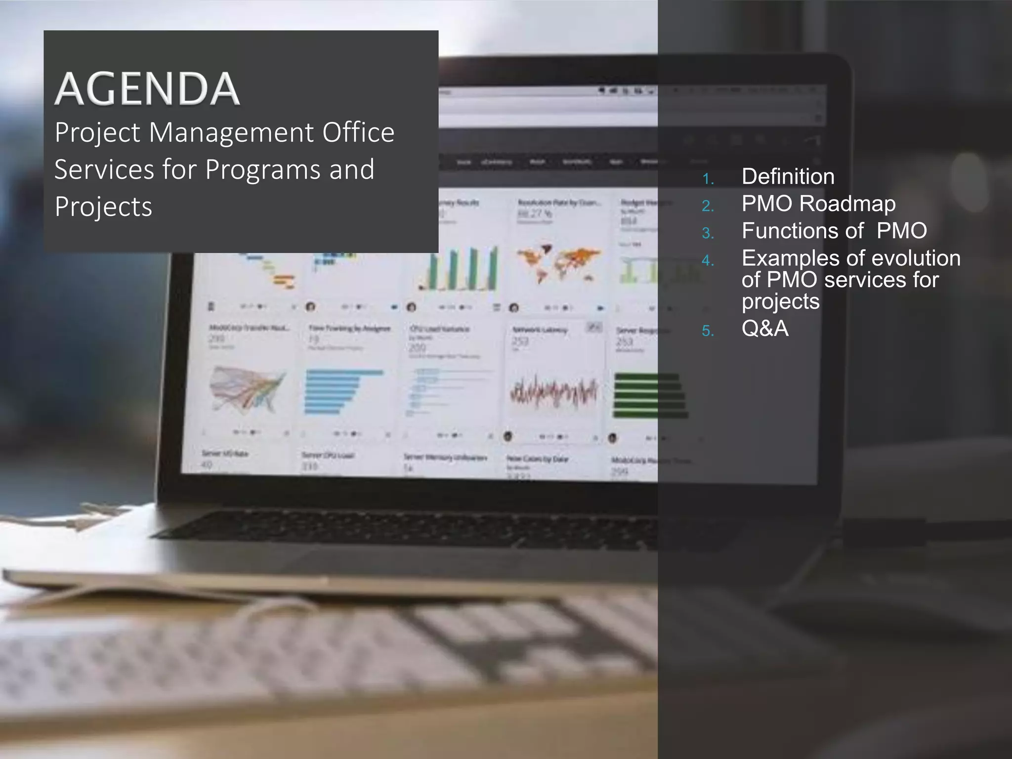 3 levels of a pmo to support program and project management | PDF ...