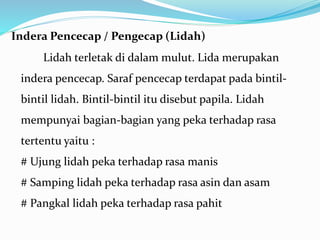 Sistem panca indra (wafa, kharisma) | PPTX
