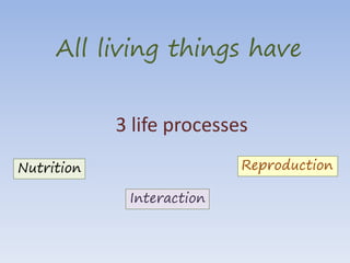 All livin things have 3 life processes | PPTX