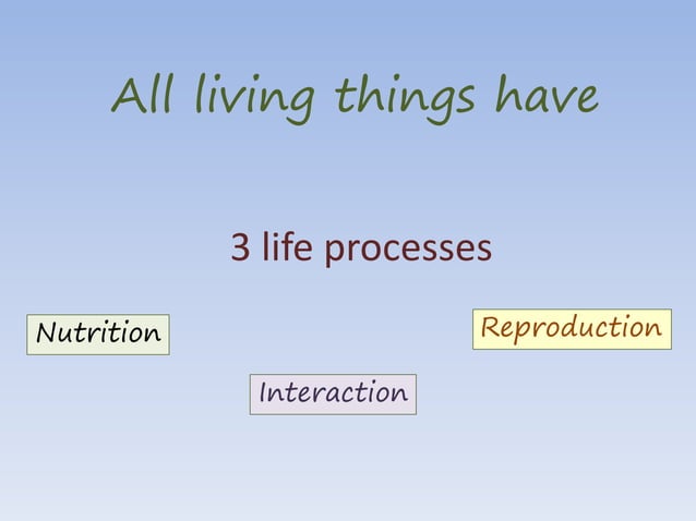 All livin things have 3 life processes | PPTX | Biological Sciences ...