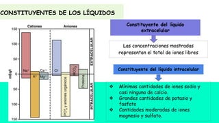 3 Liquidos y Electrolitos.pptx.pdf